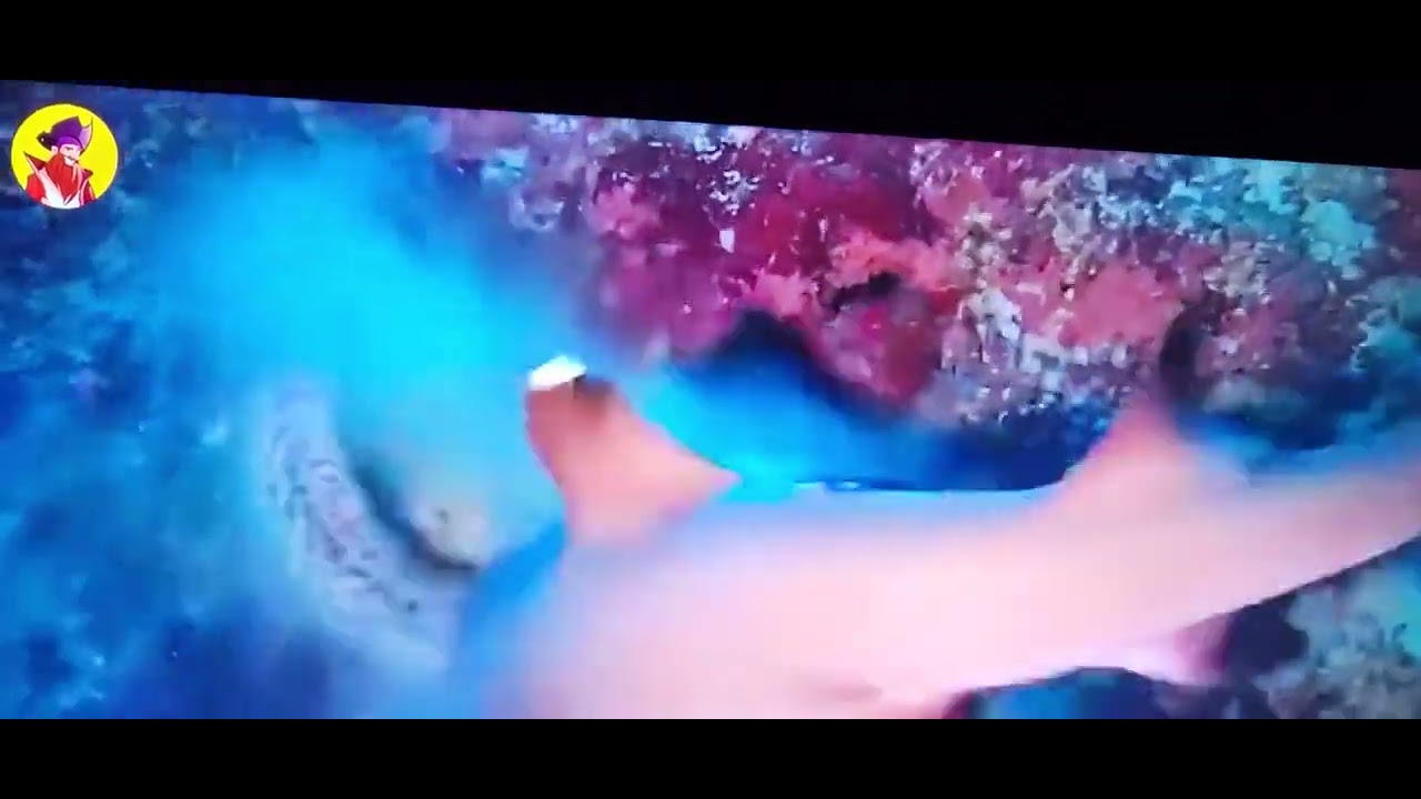 shark vs eel - YouTube