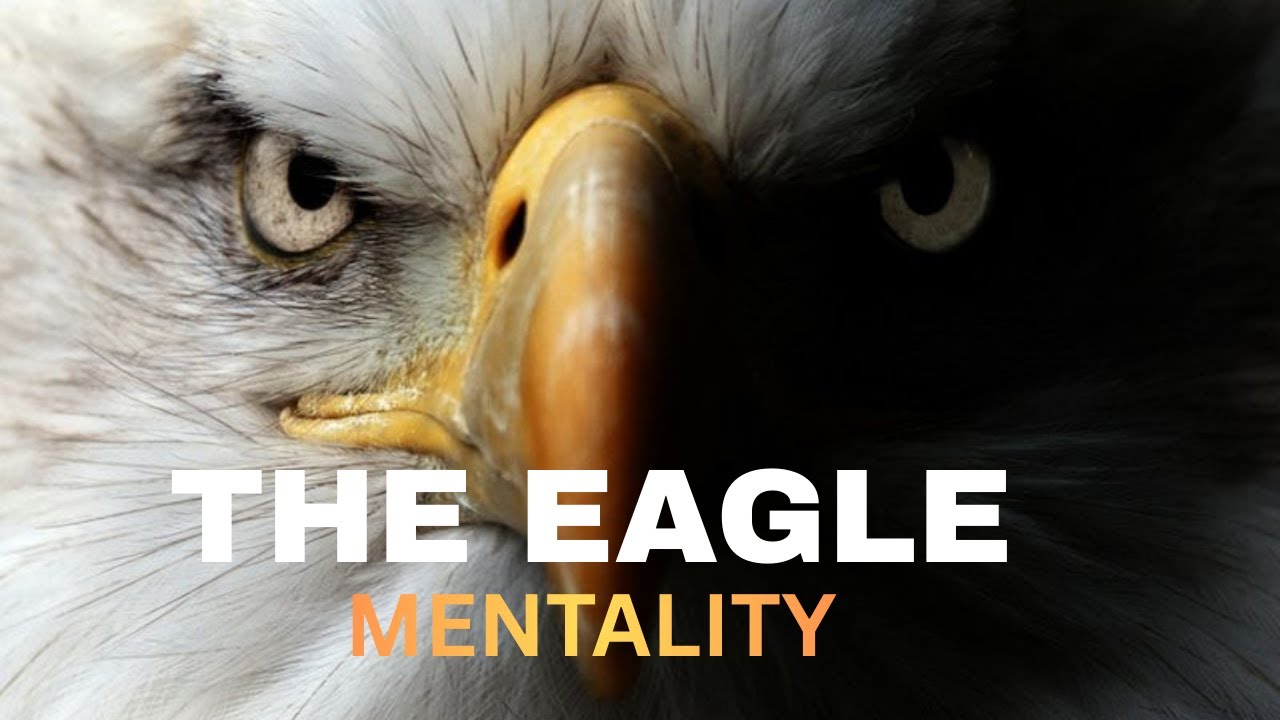 The Eagle Mentality | 7 Powerful Life Lessons From The Eagle - YouTube