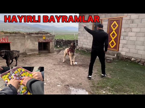 KÖYDE BAYRAM NASIL GEÇER. HERKESE HAYIRLI BAYRAMLAR. #köyde #bayram