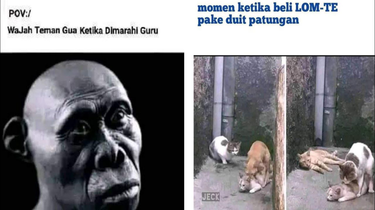 Asupan Meme Random Kocak Indonesia - Part 14 | Asupan Meme Dari Mars ...
