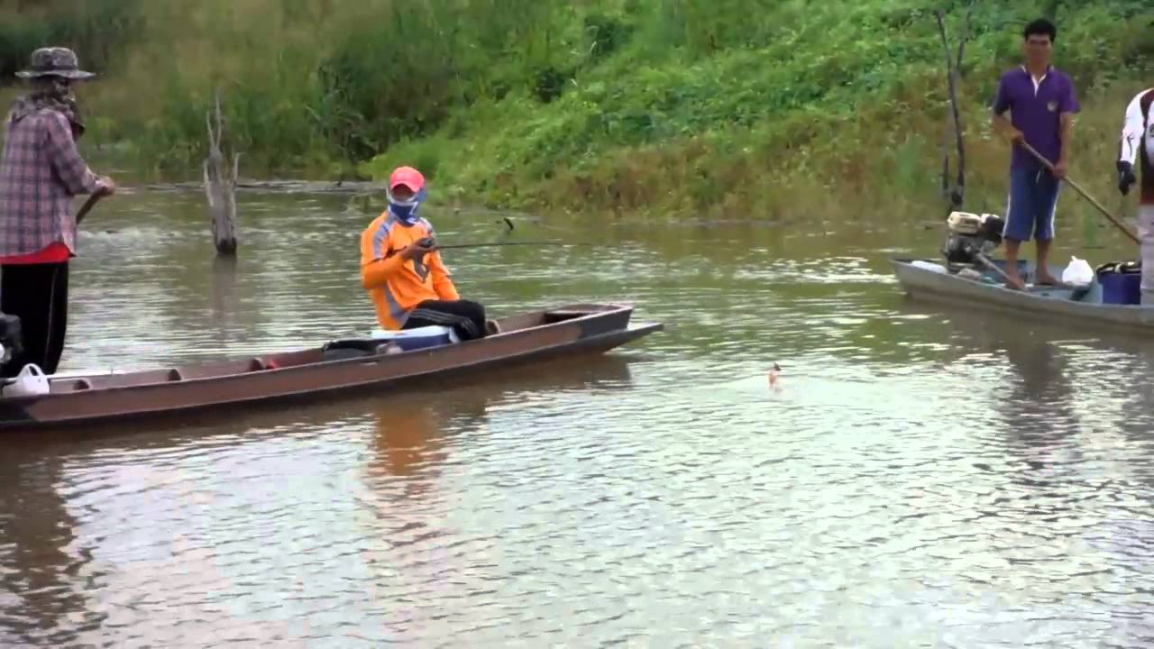 ตกปลากับ Addy Lure - YouTube