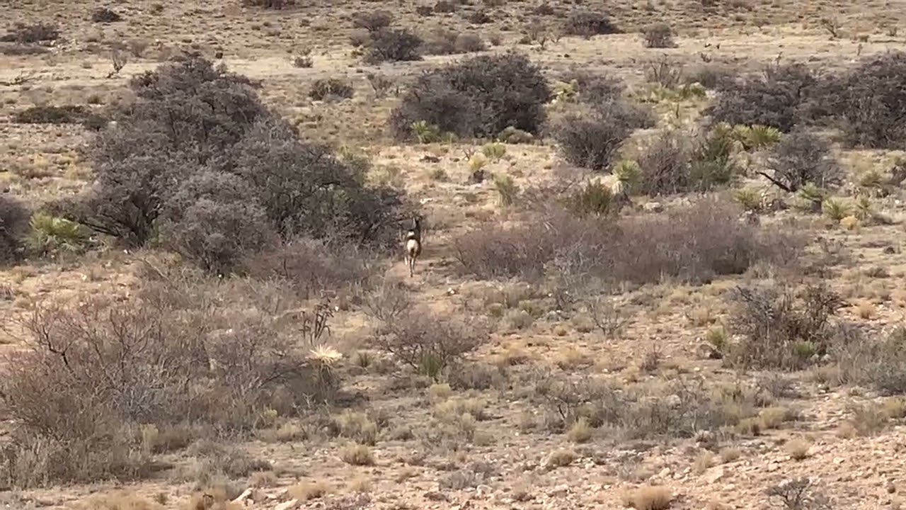 New Mexico Unit 32 - December 18, 2020 - YouTube