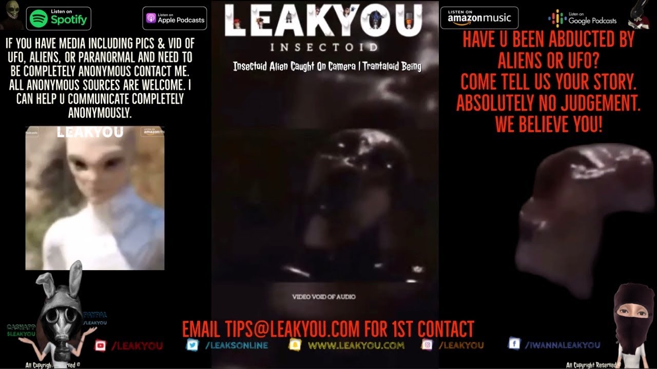 Leaked Video Of Insectoid Alien Being | Possible Trantaloid | Captured ...