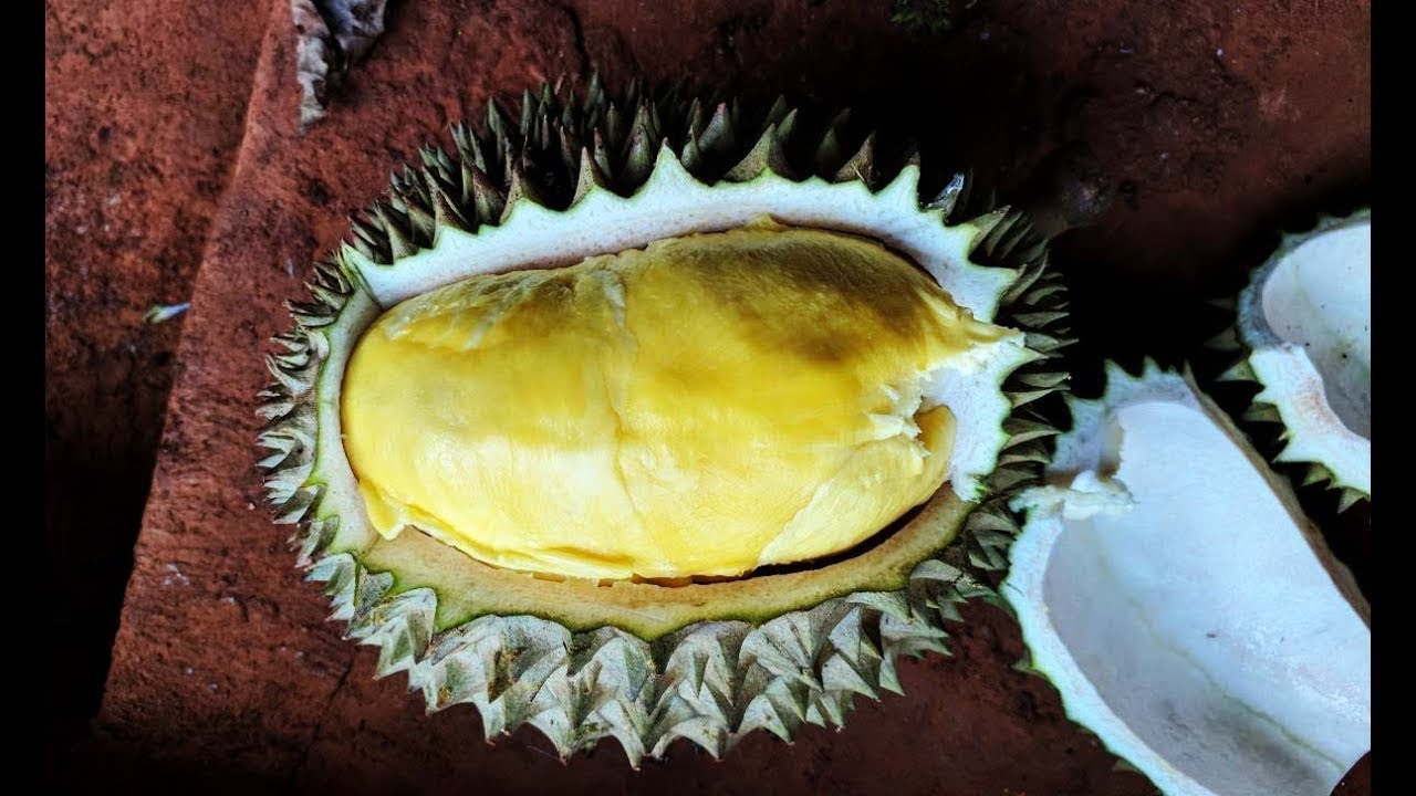WHAT'S INSIDE of Durian - Durian fruit - YouTube
