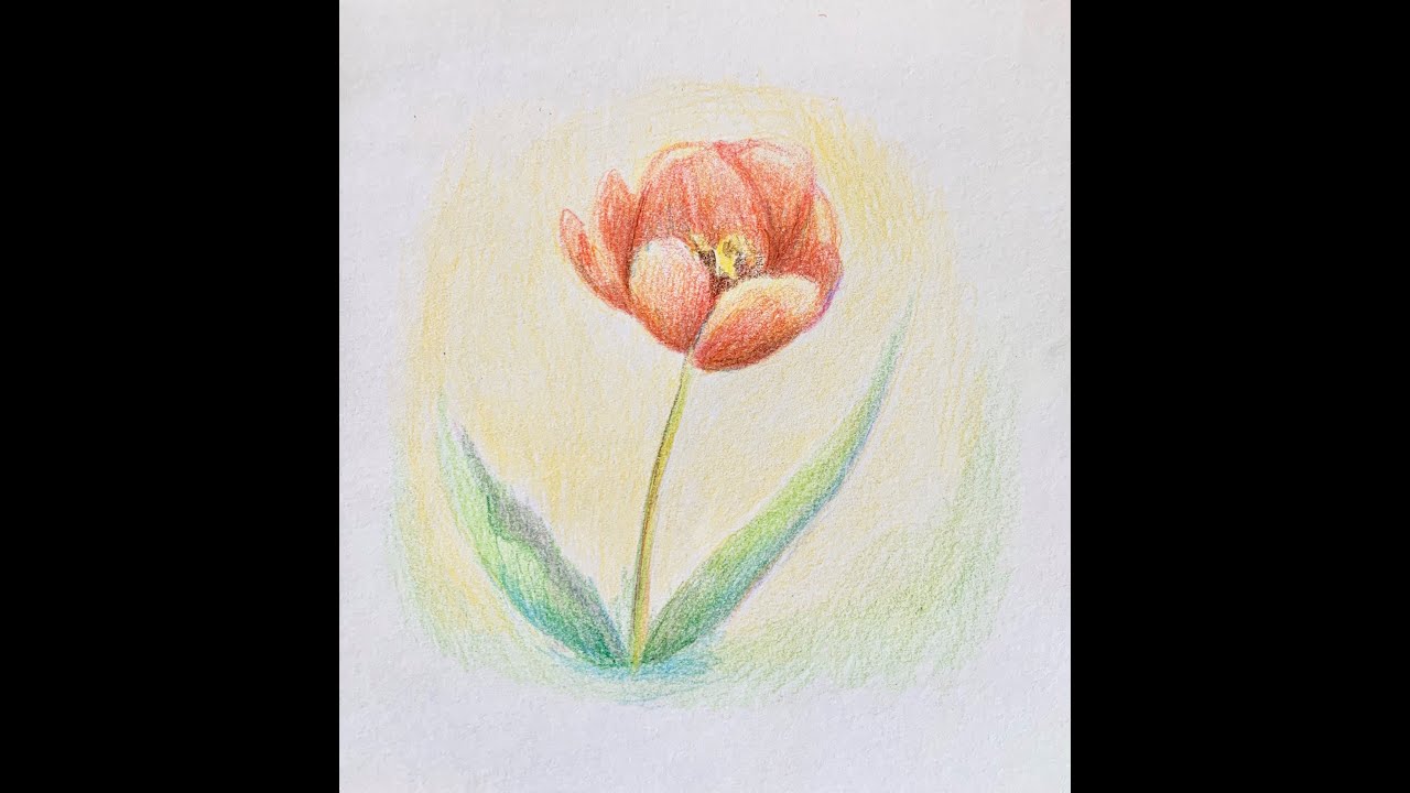 Botanical Drawing Lesson with Indigo - YouTube