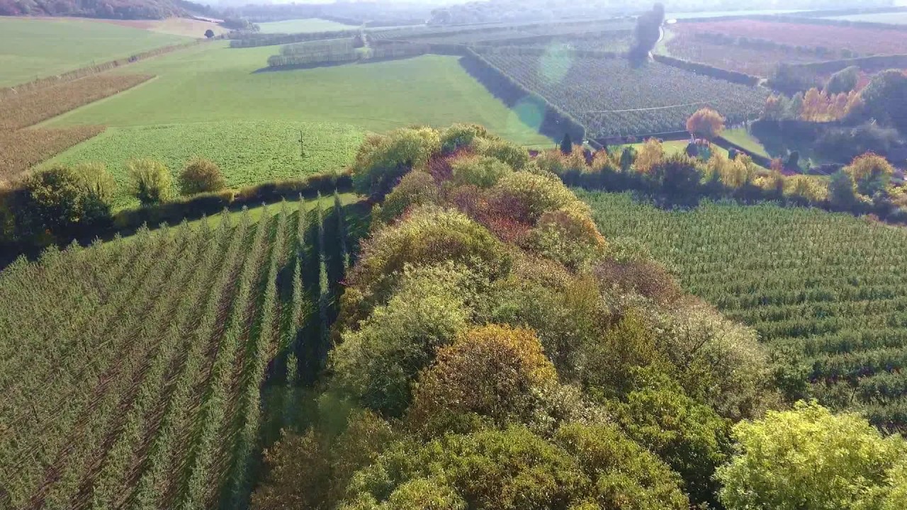 Domaine Evremond Autumn 2016 - An Aerial View - YouTube