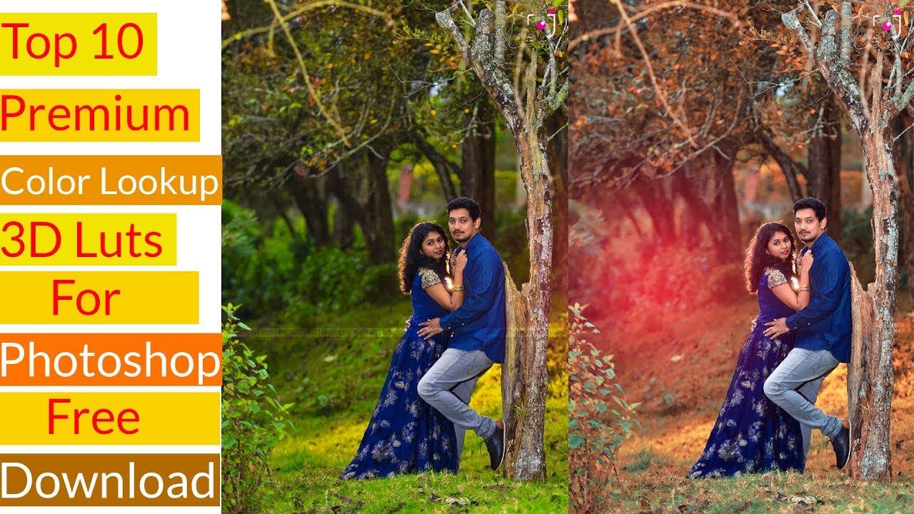 Top 10 Premium Color Lookup Files, 3DLUTs For Photoshop Free Download ...