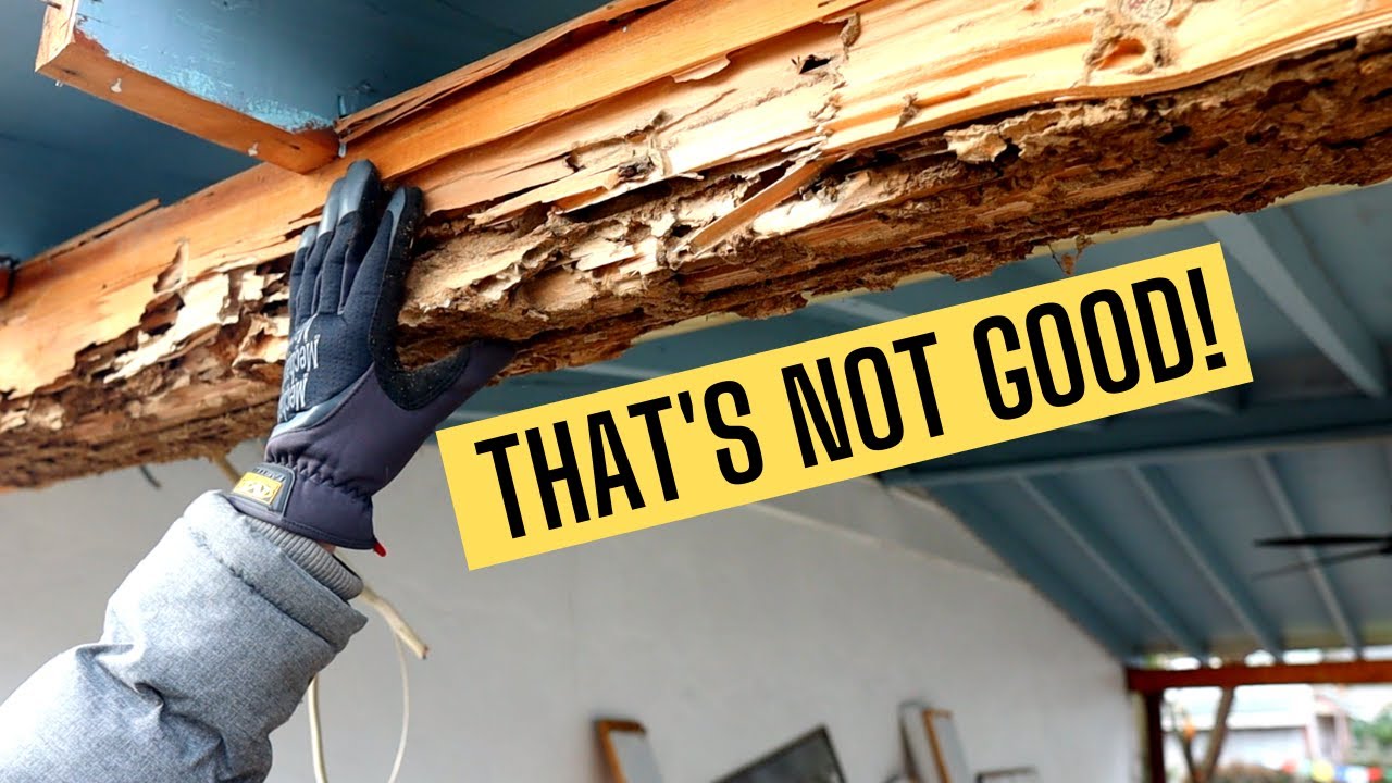 ROTTED BEAMS ON DAY 1 - Not a Great Start - YouTube