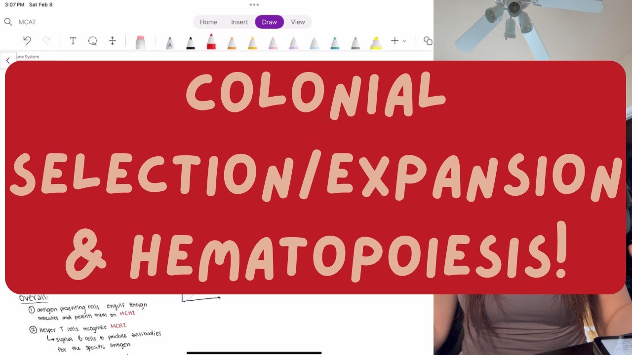 Biology: Colonial Selection/Expansion and Hematopoiesis - YouTube
