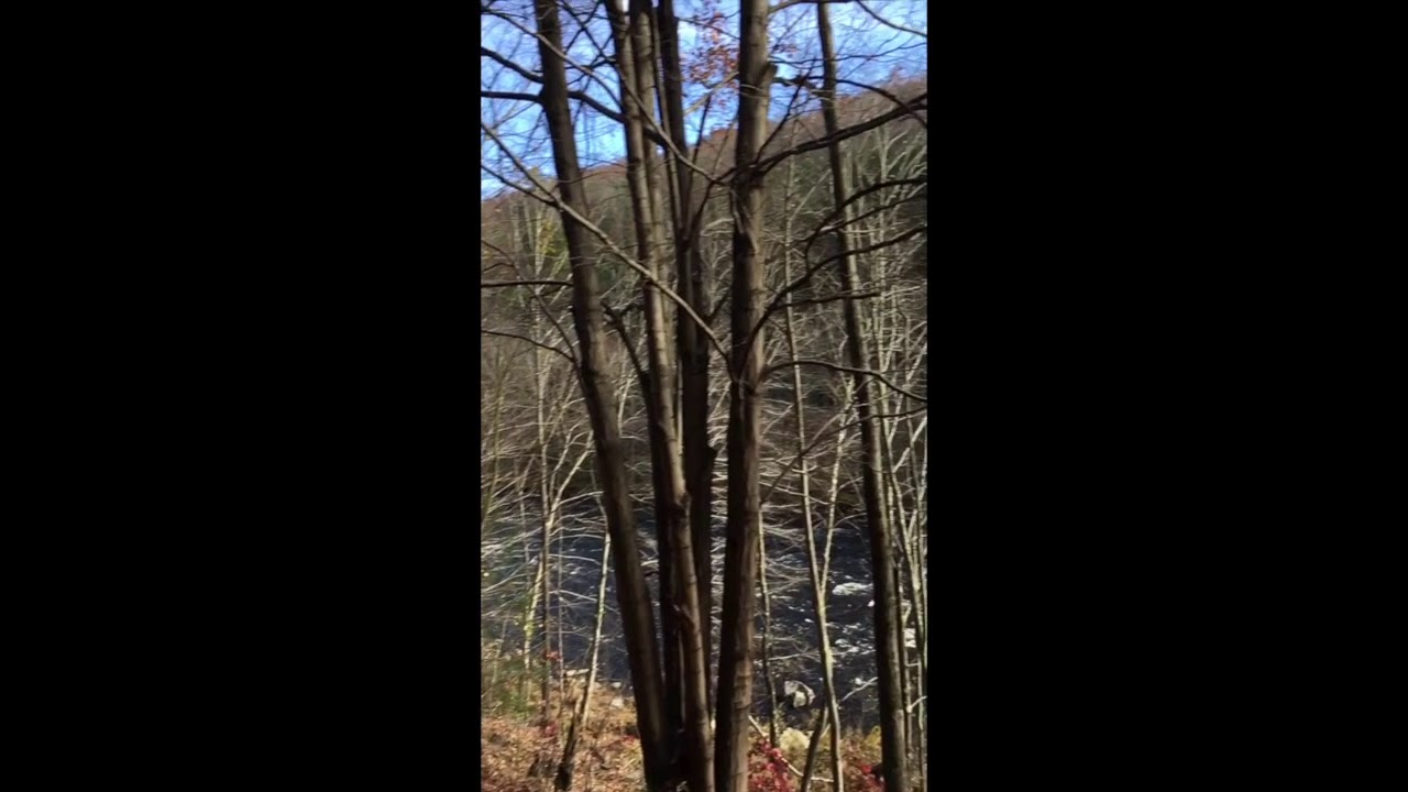 Log Throw FAIL - YouTube