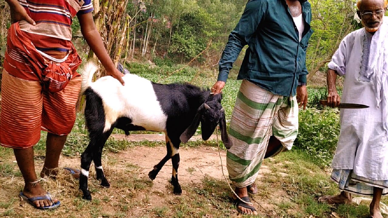 Amazing full goat cutting skill butcher best practices in Bangladesh ...