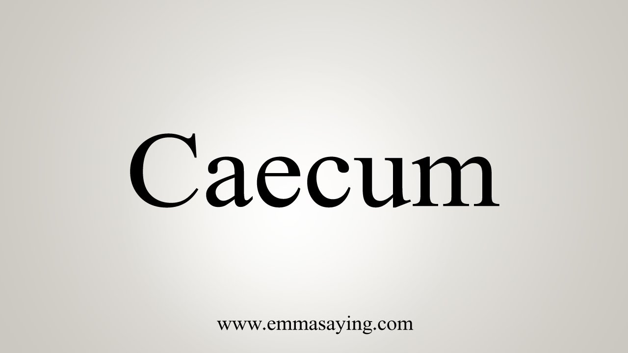How To Say Caecum - YouTube