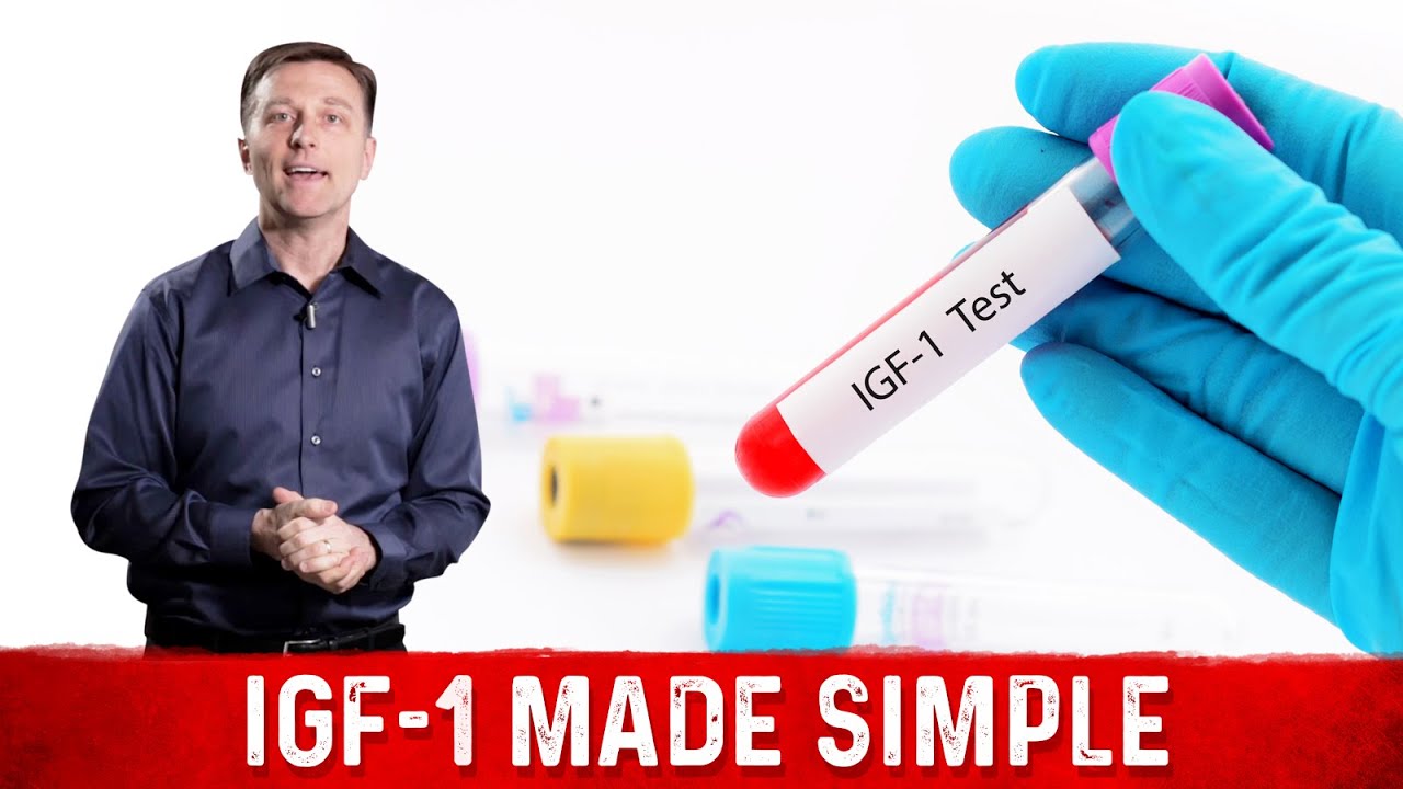 Understanding IGF-1 (Insulin-Like Growth Factor) in Simple Terms – Dr ...