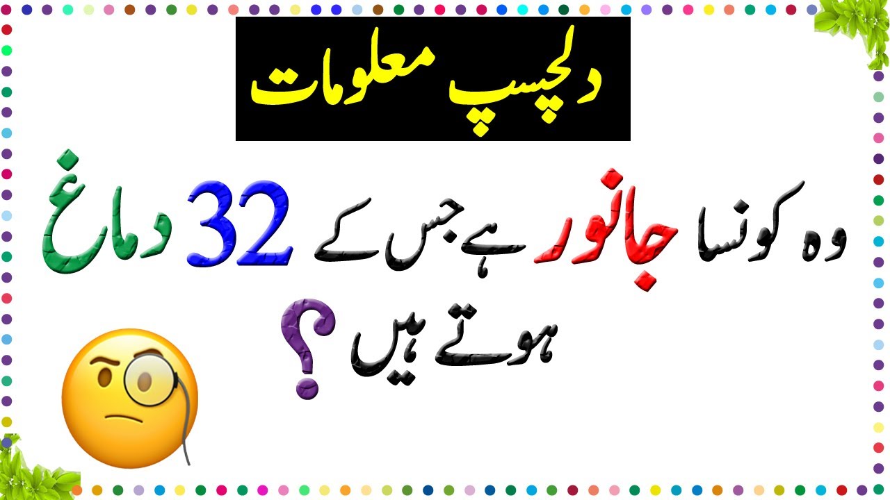 Questions And Answers In Urdu