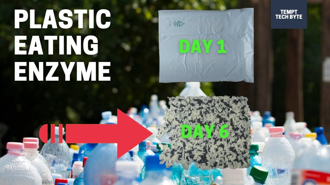 Plastic Eating Enzymes - The Solution to Pollution - YouTube