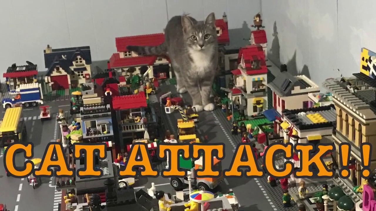 Cat Attack Two!!! - YouTube