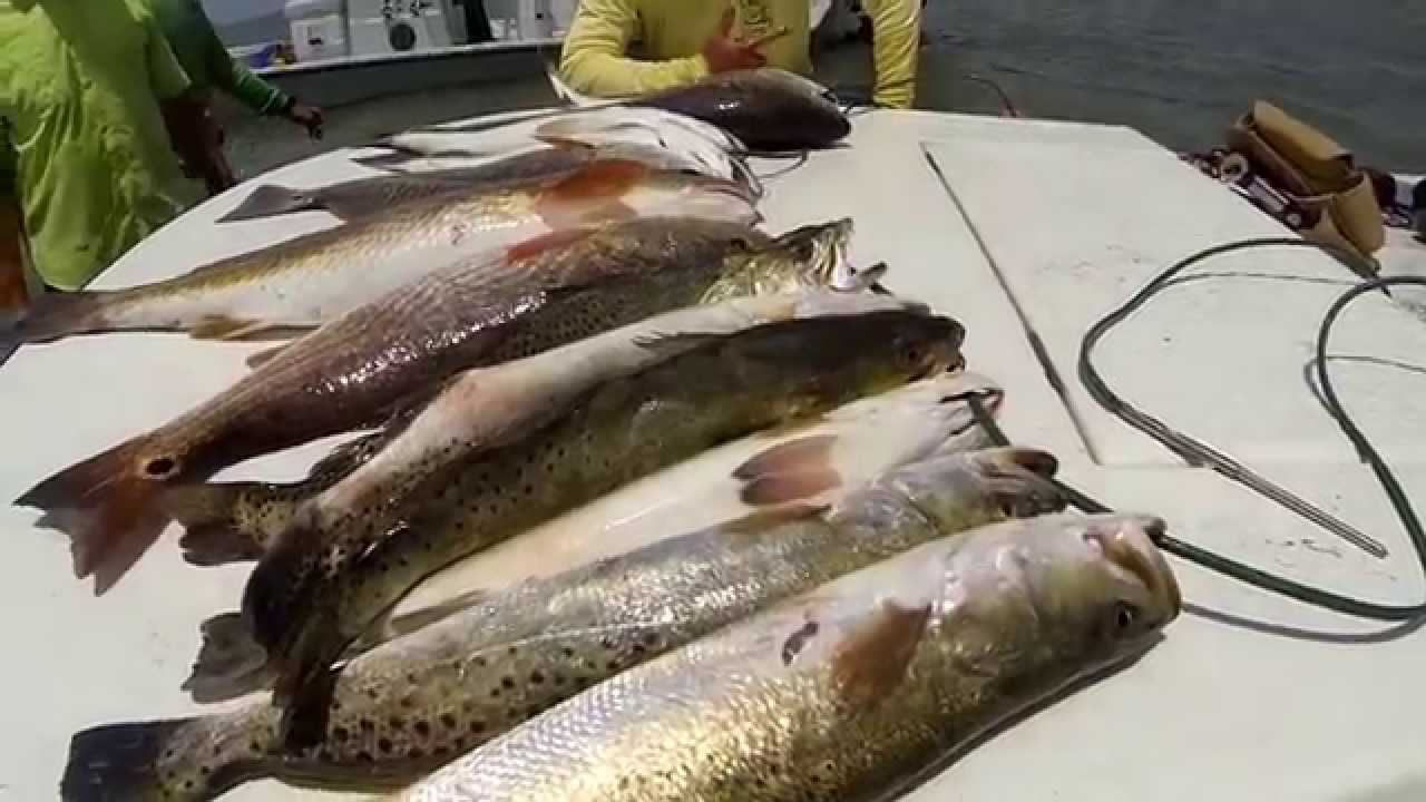 Lower Laguna Madre Fishing (GoPro) - YouTube