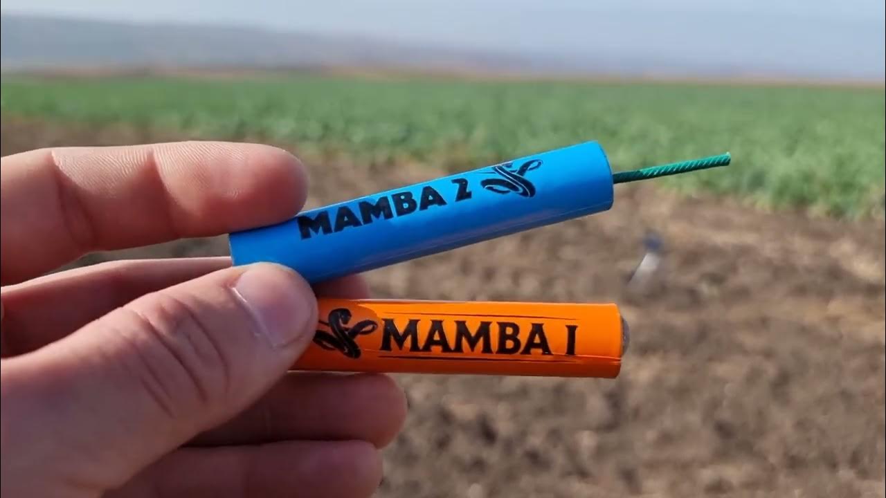 💥MAMBA 1 vs MAMBA 2‼️Comparație Petarde 2023 - Vuurwerk Polenböller 💣 - YouTube