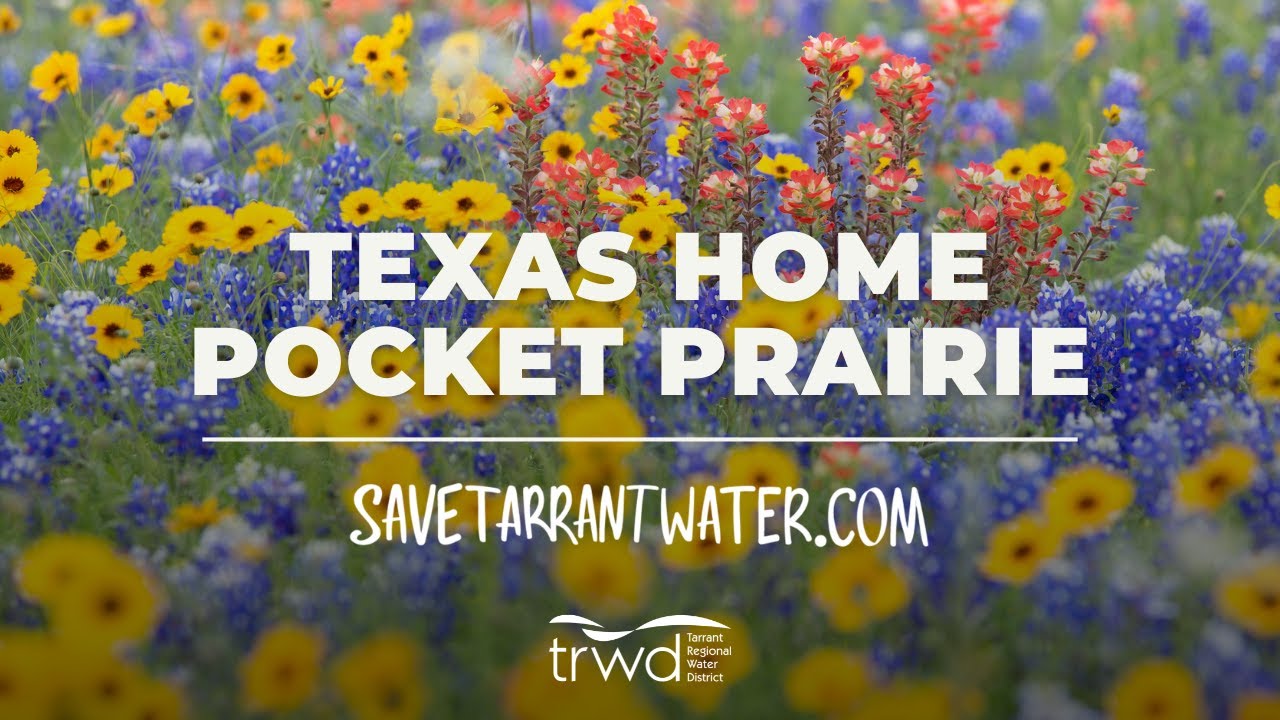 Texas Home Pocket Prairie - YouTube