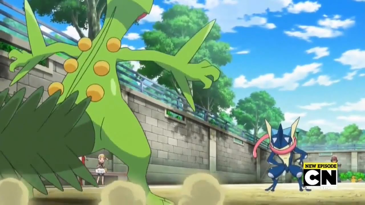 [Pokemon Battle] - Sceptile vs Greninja - YouTube