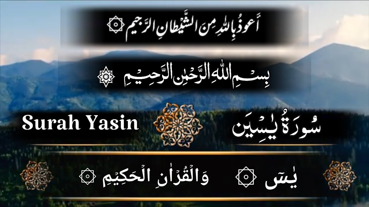 Live 🛑 : Surah Al-Yasin Full Beautiful Tellawat || Arabic Text (HD ...
