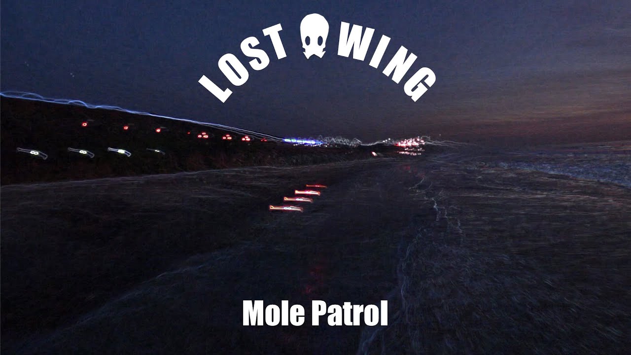 Mole Patrol - YouTube