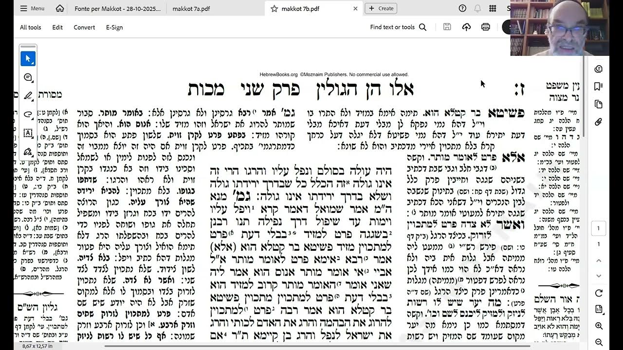 Rav A. Somekh - Talmùd Makkòt Cap. 2 - Daf 7a-b Mishnà, Rashì, Tosafòt e fonti - YouTube