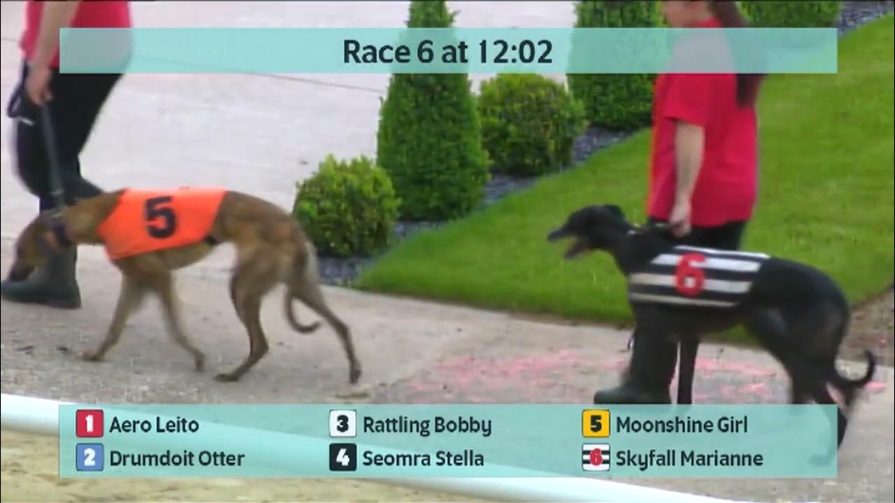 Monmore Greyhounds Races on 15th May 2024 - YouTube Monmore Greyhounds Races on 15th May 2024 - YouTube