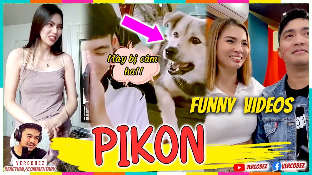 PIKON - FUNNY VIDEOS COMPILATION, FUNNY MEMES by VERCODEZ - YouTube