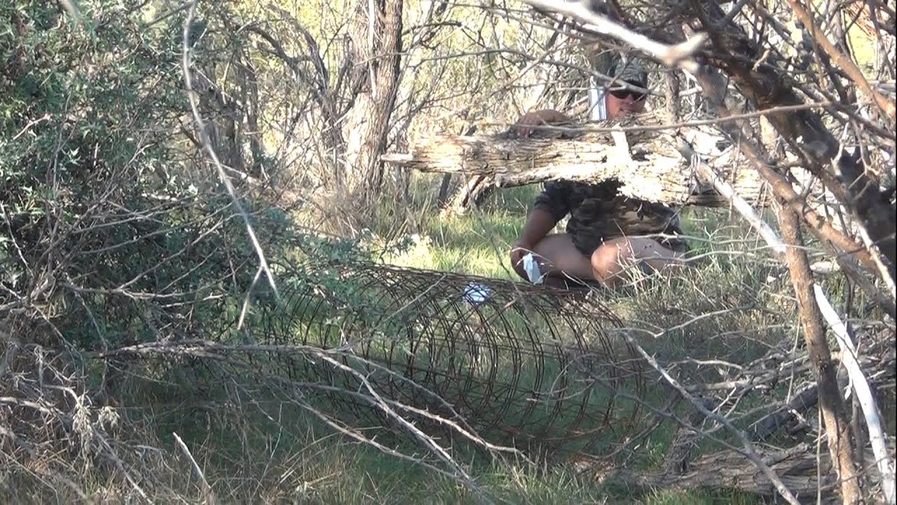 Shotgun Whitetail Deer Hunting, FUN? Does a Bear Sh!t In The Woods ...