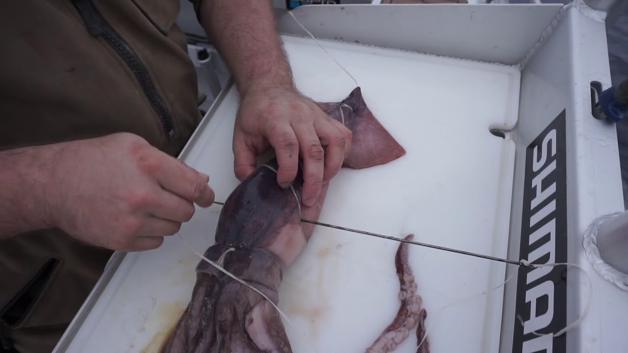 Bonze Gladiator - Rigging Our New Swordfish Range - YouTube