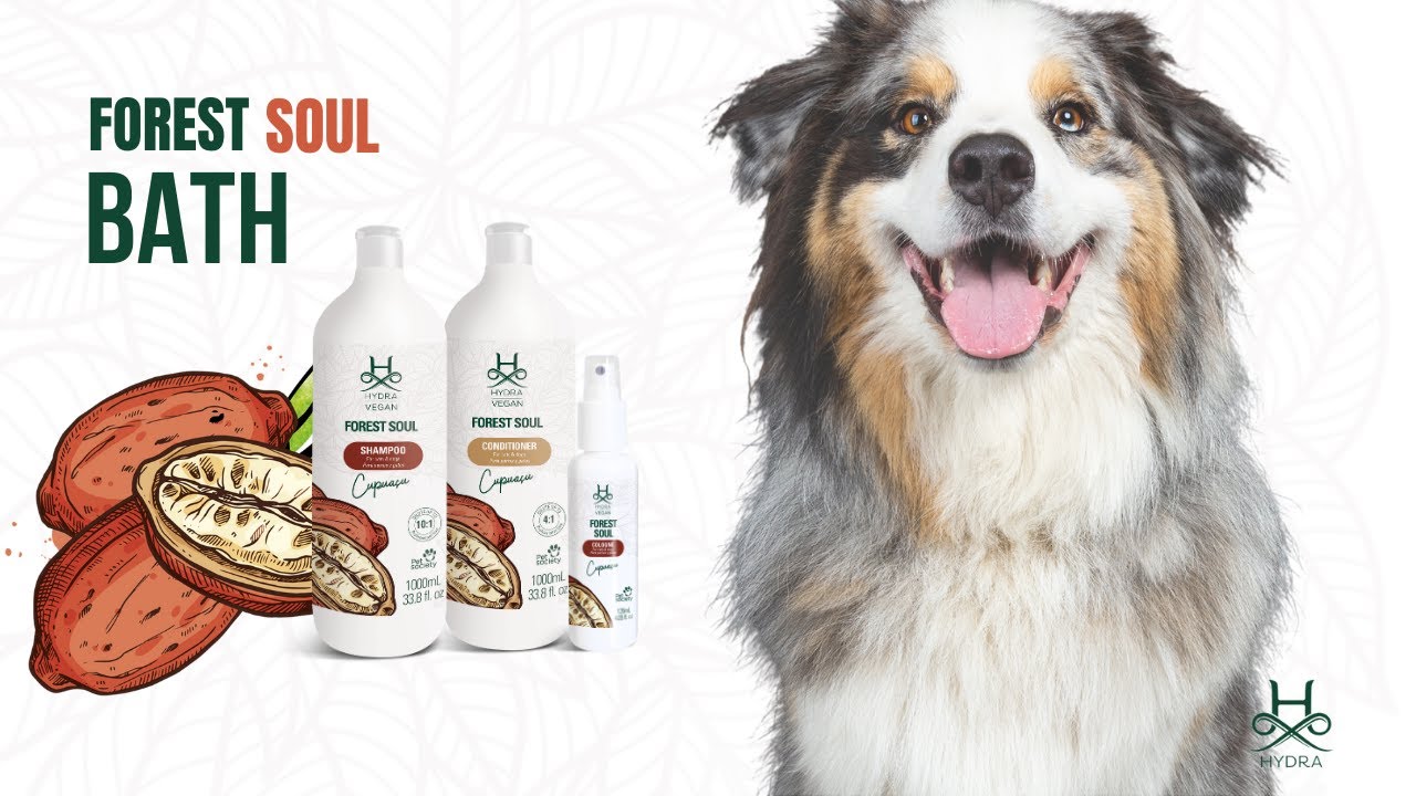 Hydra - Step by Step: Forest Soul Bath - Learn how to use - YouTube