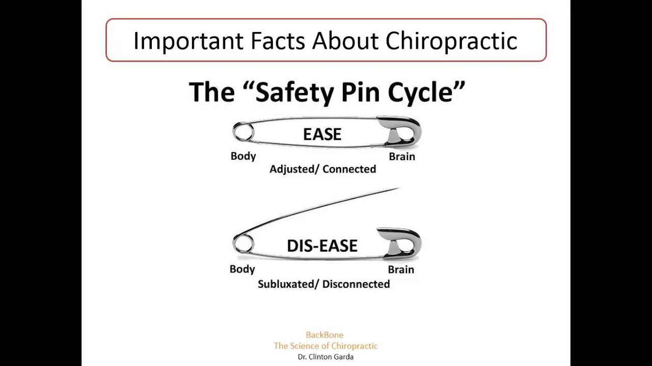 The Safety Pin Cycle in Cincinnati - BackBone - The Science of ...