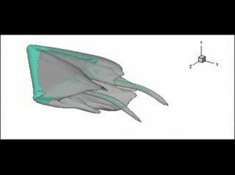 Flow over a delta wing at low Reynolds number - YouTube