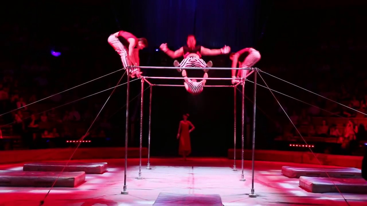 High Bars Parallel Bars Circus Act Tango Event Show Performance ...