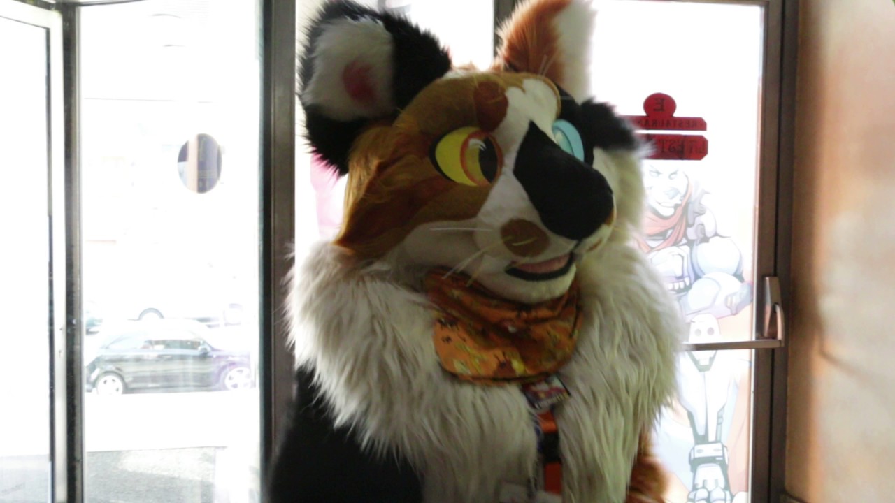 Pudge Cat! - YouTube