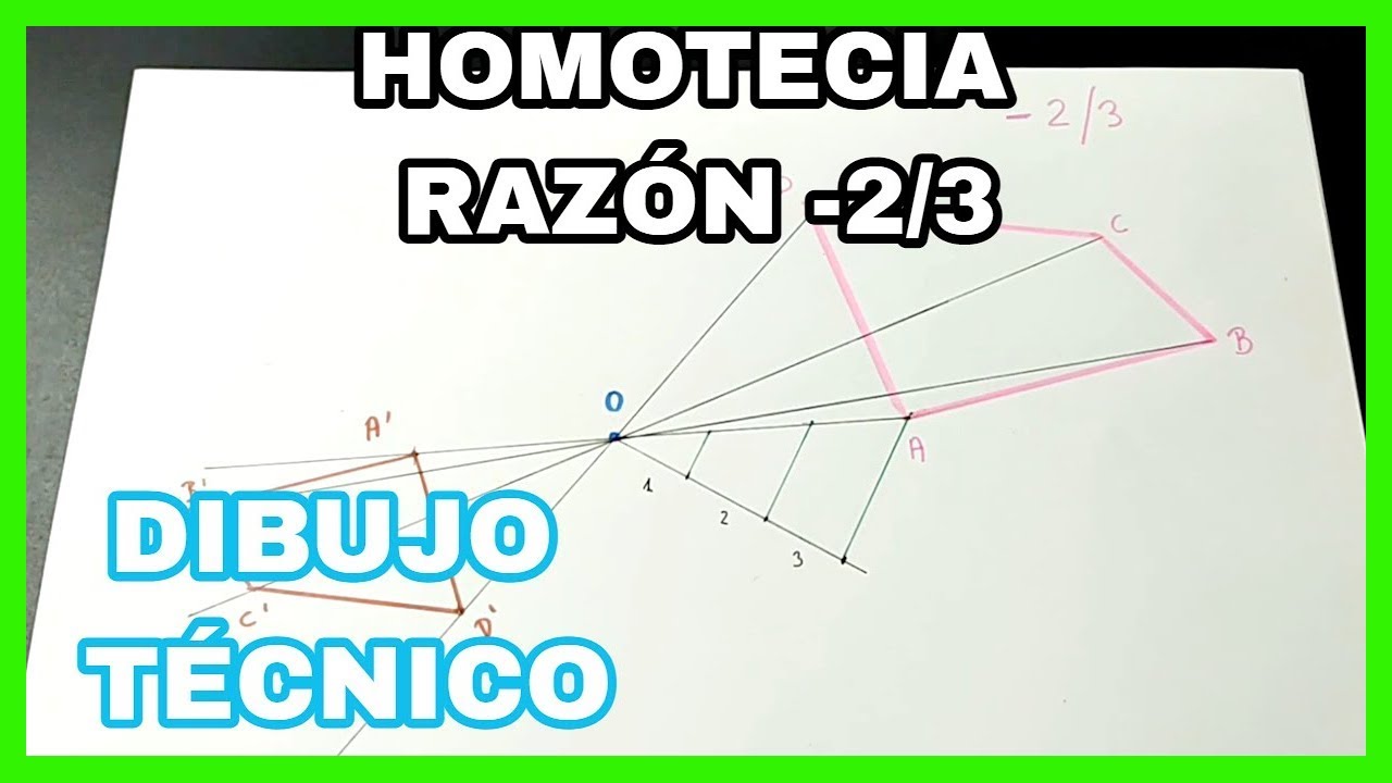 HOMOTECIA - figura🔥 [razón -2/3] - YouTube