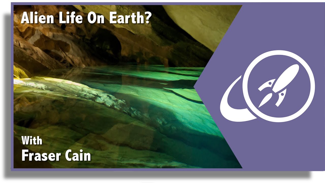 Is There A Shadow Biosphere? Searching For Life On Earth That Isn't ...