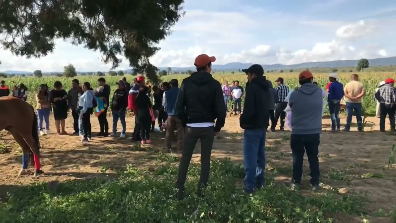 Carreras de caballos Gamita vs Campesino 10 de septiembre Xaltipanapa ...
