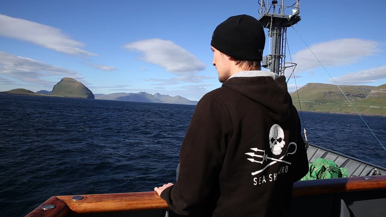 A Call To Denmark: StandUp for the Pilot Whales - YouTube