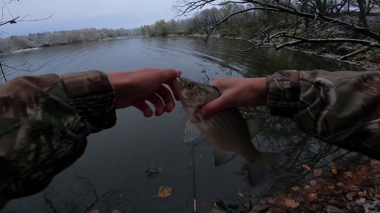 Central Iowa Wiper Fishing - YouTube