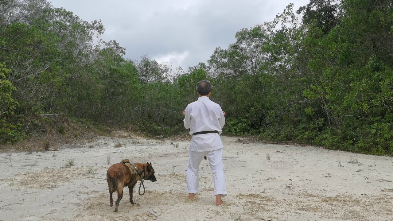 IKGA Brunei - Kata Sanchin - Lim Seng Lee - YouTube