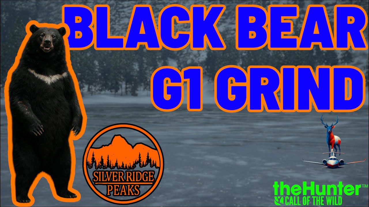 WHAT?! BLACK BEAR GRIND IS BACK? theHunter: Call of the Wild! - YouTube