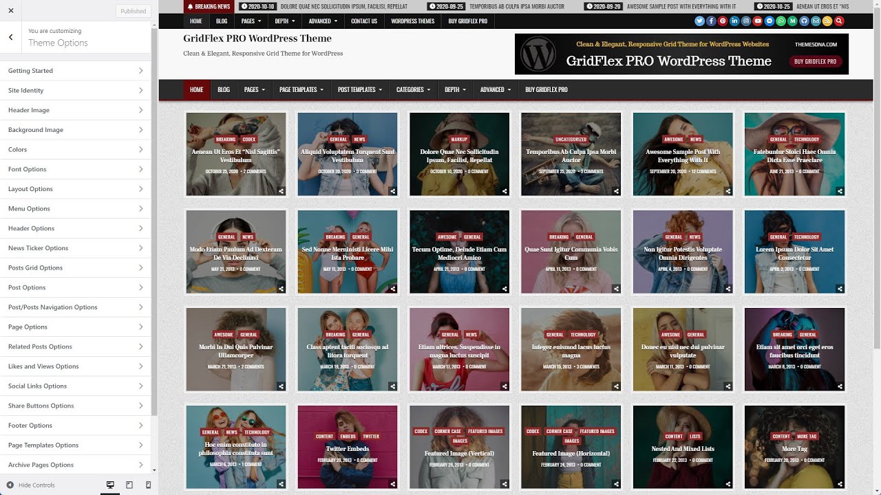 Customizer Theme Options - GridFlex PRO WordPress Theme - YouTube