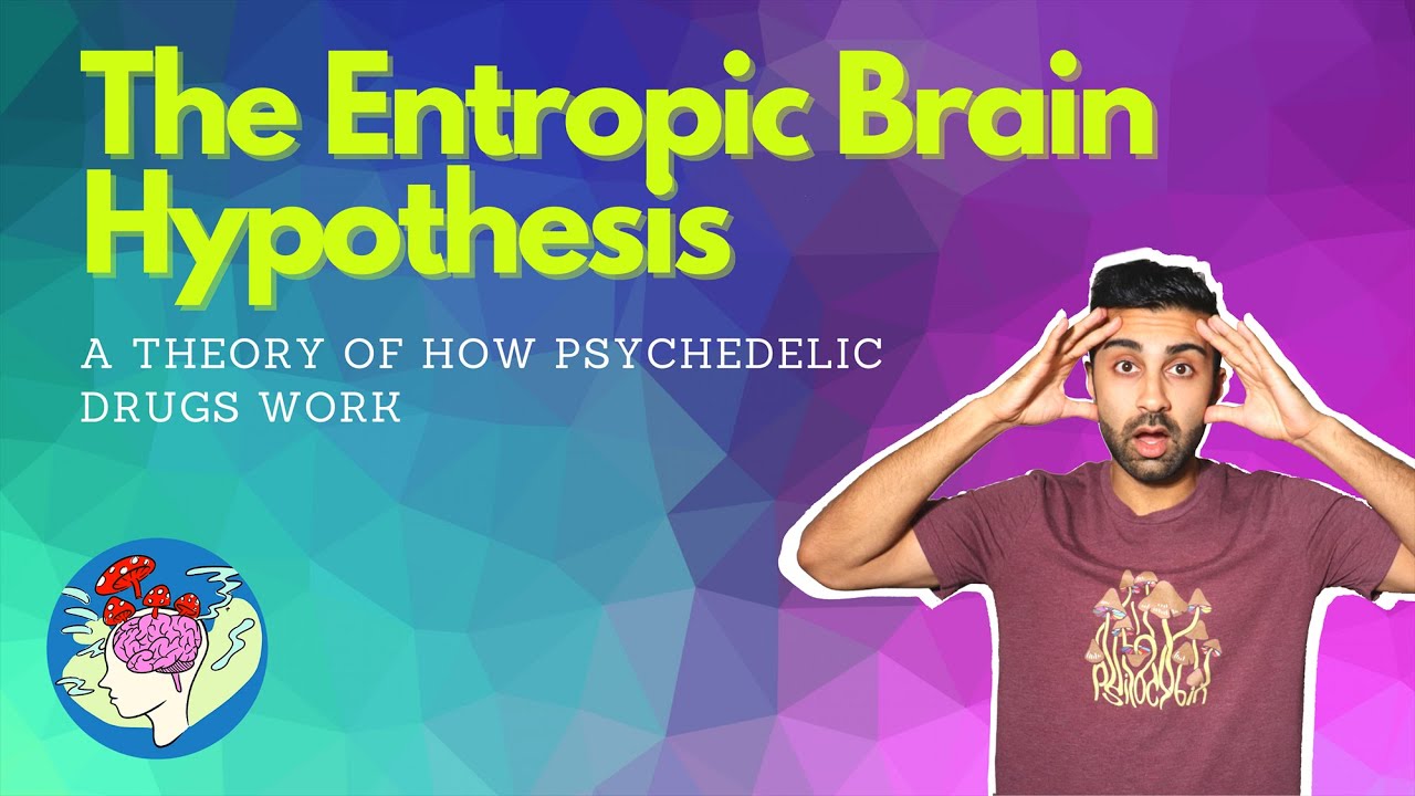 The Entropic Brain Hypothesis EXPLAINED: Psychedelics and Consciousness ...