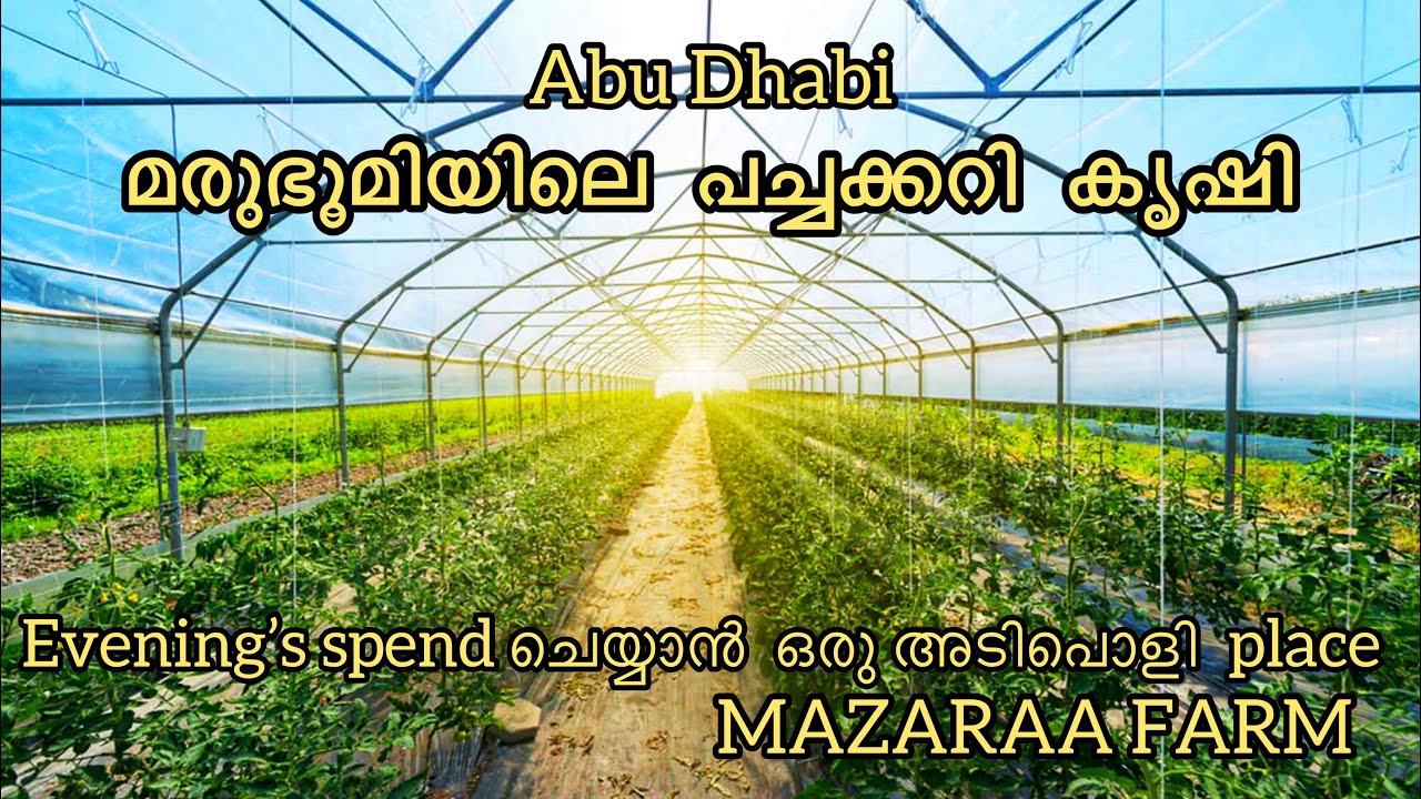A visit to MAZARAA FARM|| Evening vlog || Abu Dhabi || Al Bahyah - YouTube