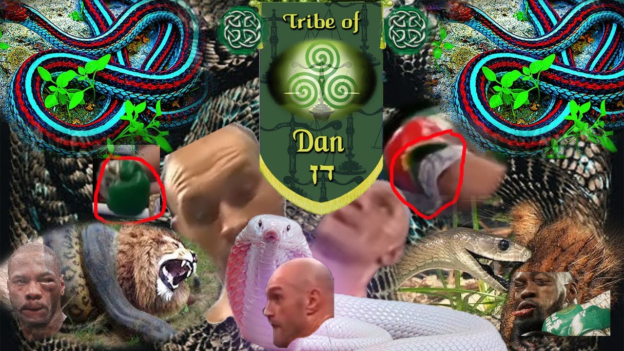 Tyson Fury glove issue, proves tribe of Dan are snakes - YouTube