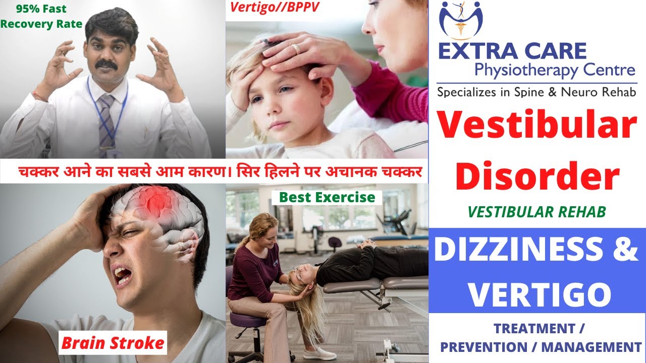 VESTIBULAR DISORDER | DIZZINESS & VERTIGO | Balance Disorder Causes ...