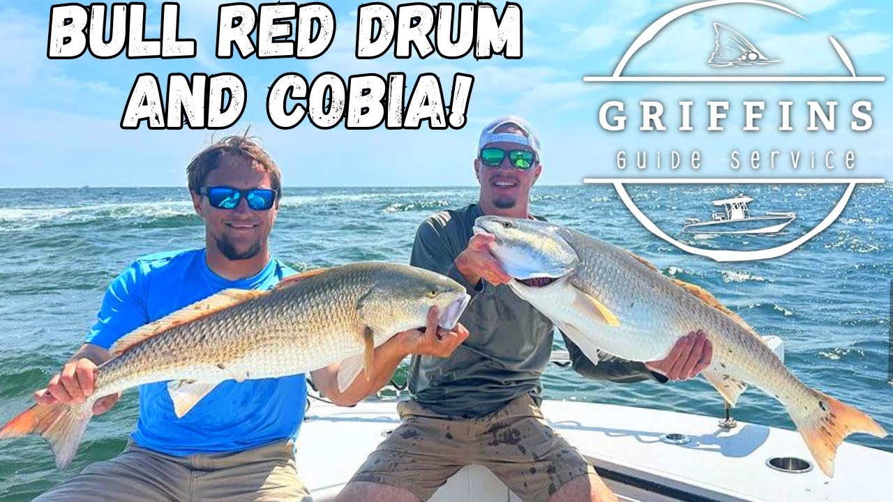 Chesapeake Bay Bull Redfish and Cobia - YouTube