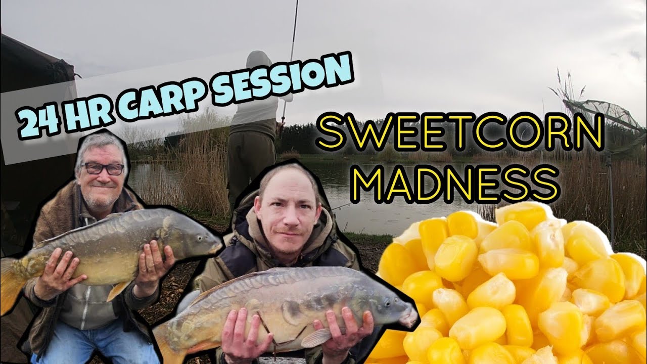 24HR CARP SESSION SWEETCORN MADNESS - YouTube